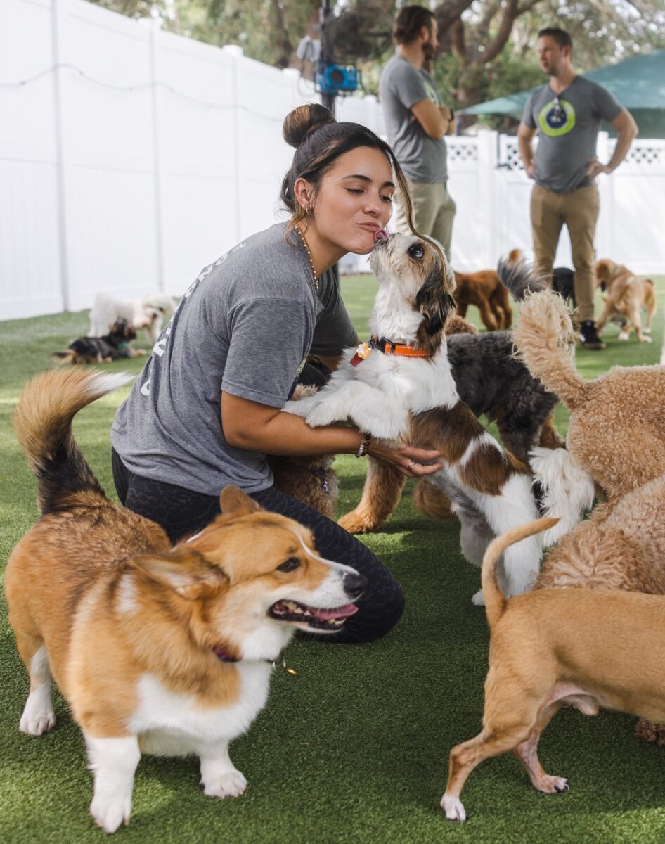 Dog Boarding Bentonville Ar
