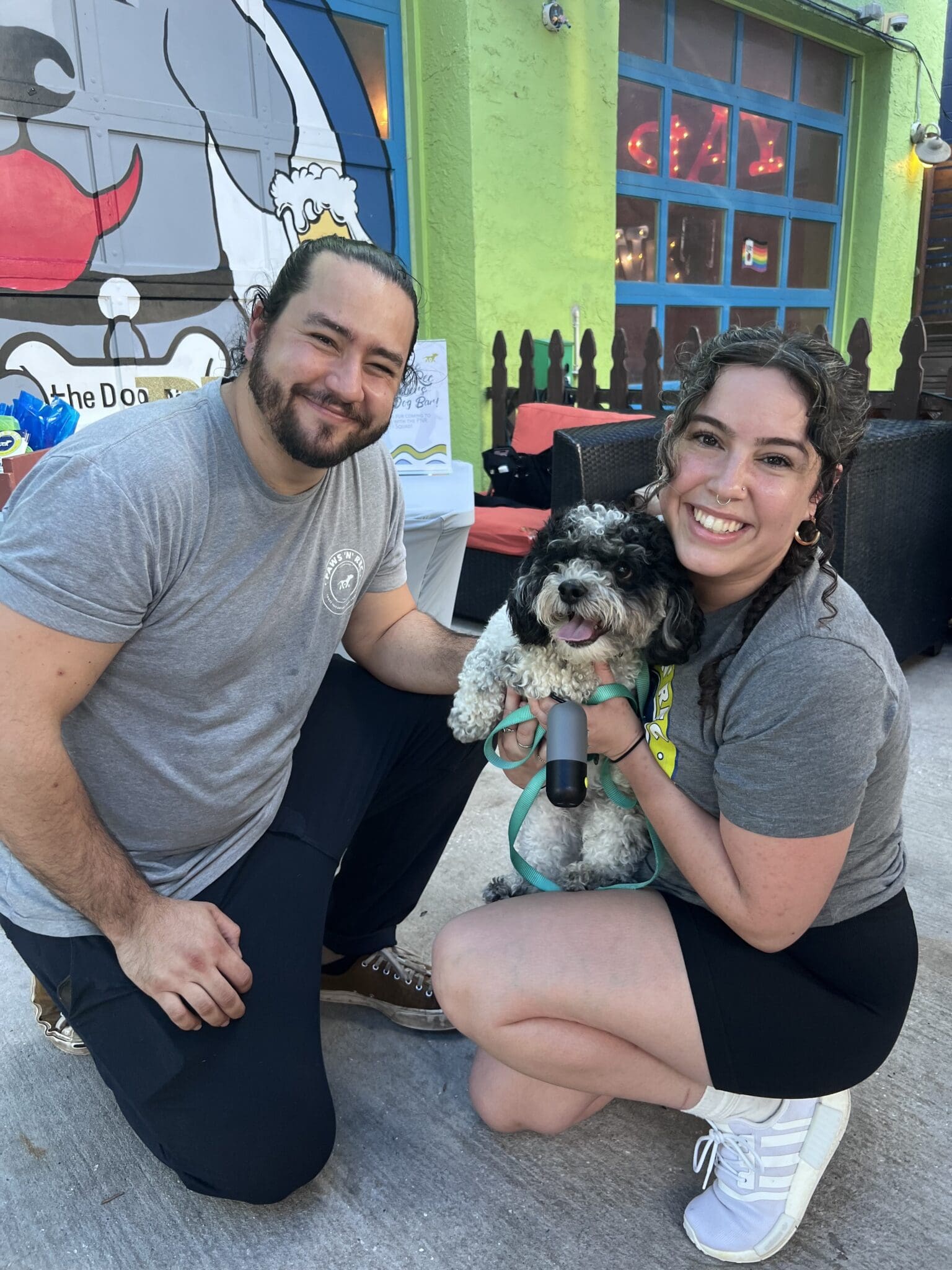4 Top Things to Do with Dogs in St. Pete | Paws 'n' Rec