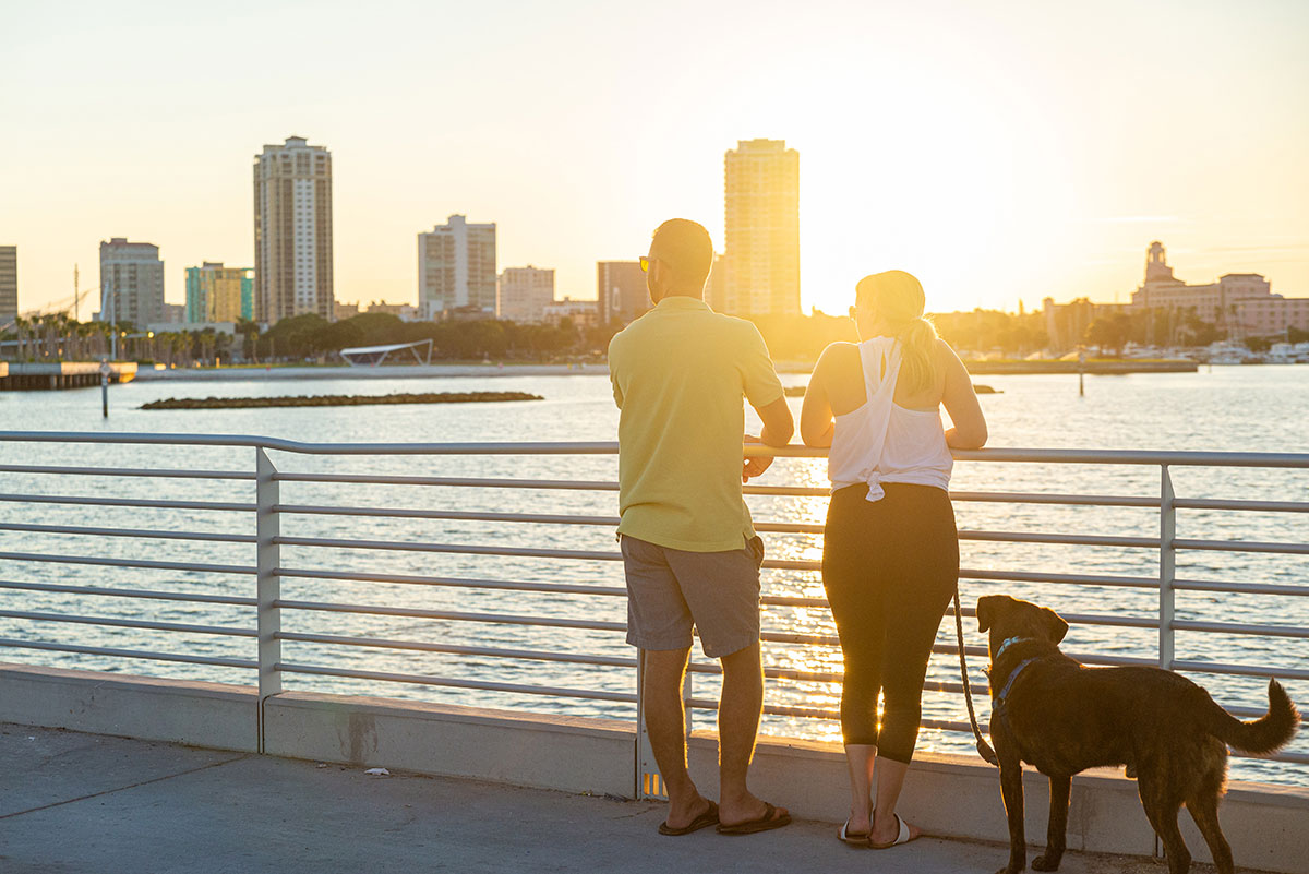 4 Top Things to Do with Dogs in St. Pete | Paws 'n' Rec